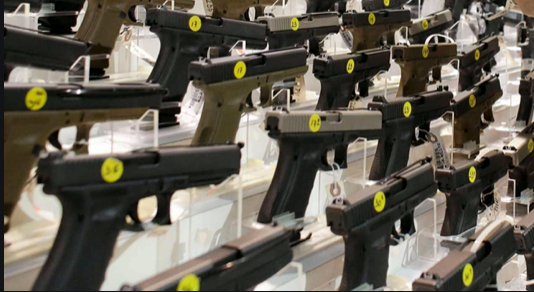 Gun Show October 10, 2020 - CCSSEF